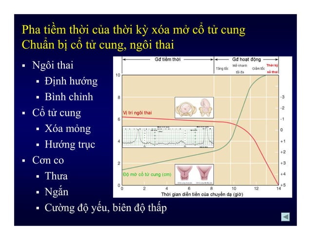 SINH LÝ CHUYỂN DẠ | PDF