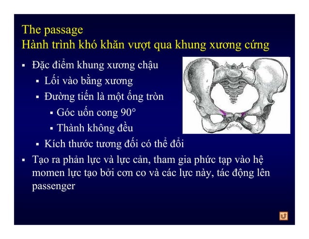 SINH LÝ CHUYỂN DẠ | PDF