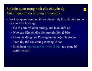 SINH LÝ CHUYỂN DẠ | PDF