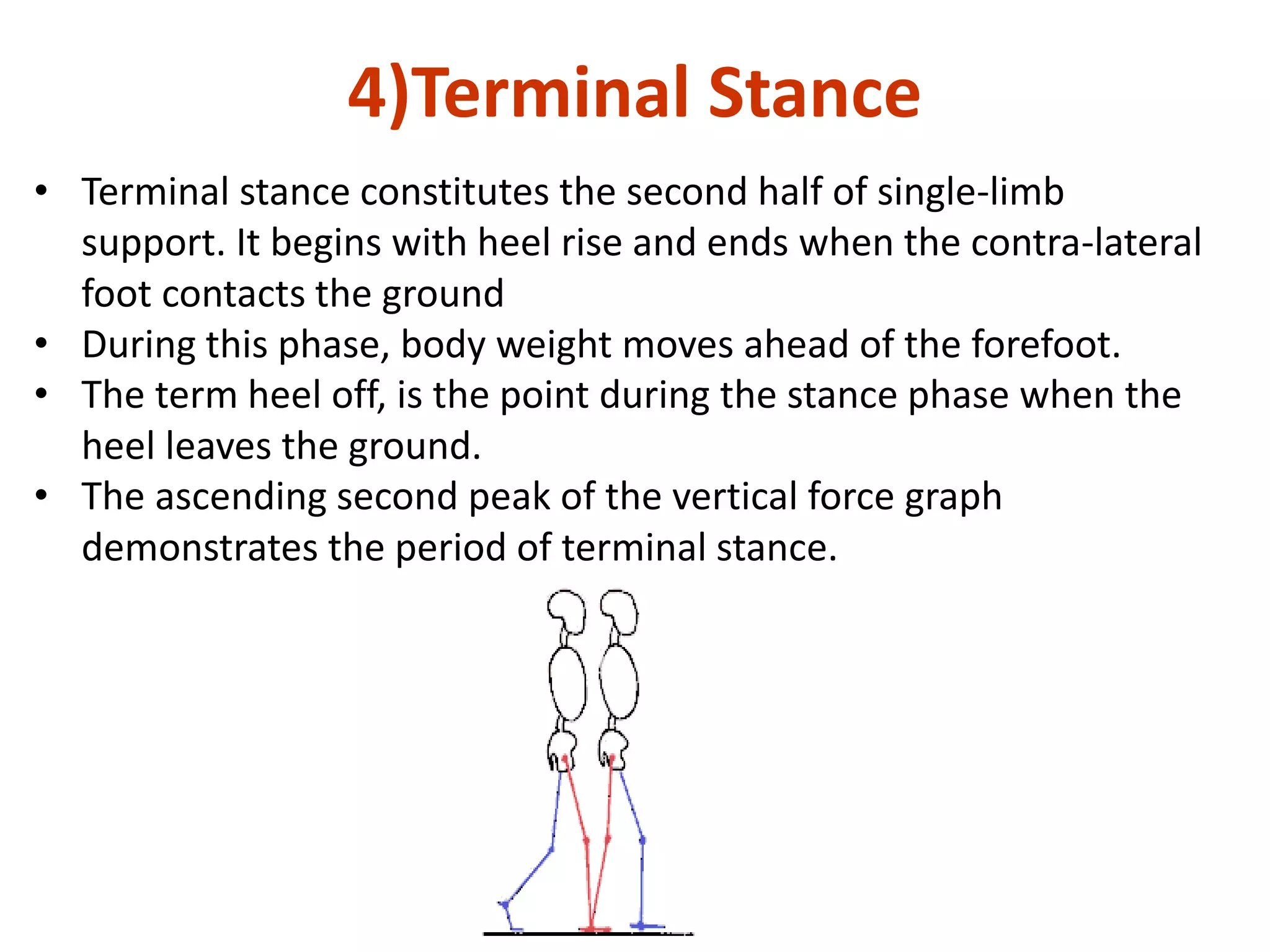 1 GAIT INTRODUCTION(1).pptx