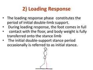 1 GAIT INTRODUCTION(1).pptx