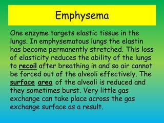 Gas Exchange and Emphysema | PPT