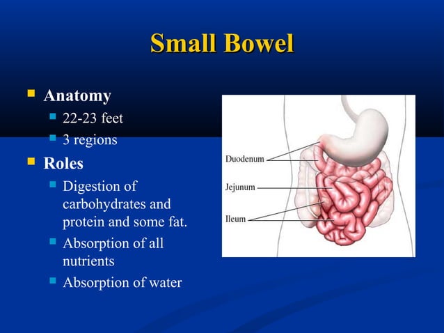 1 gastrointestinal manifestations of systemic sclerosis | PPT ...