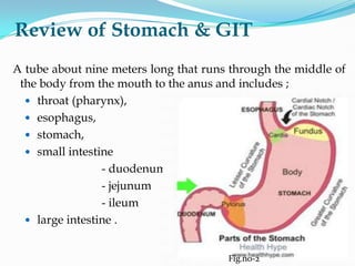 1gastroretentivedrugdeliverysystems imp.pdf