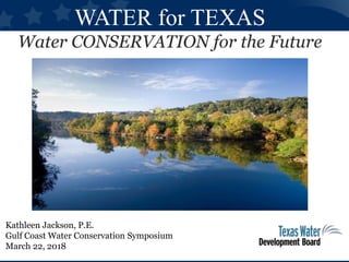 Water for Texas: Water Conservation in Texas | PPTX