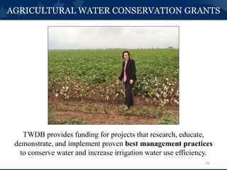 Water for Texas: Water Conservation in Texas | PPTX