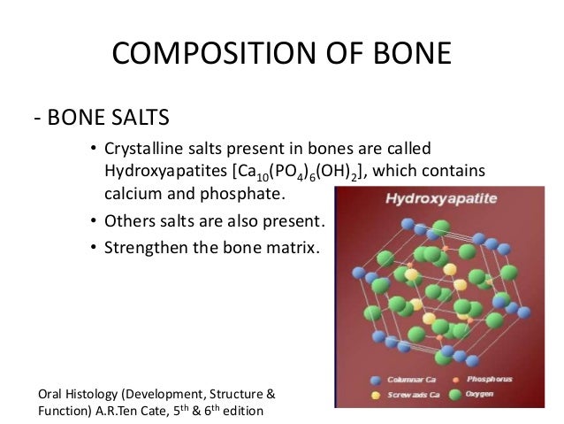 Bone & Its Importance to Prosthodontist