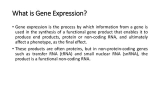 gene expression traditional methods | PPTX | Chemistry | Science