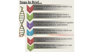 gene expression traditional methods | PPTX