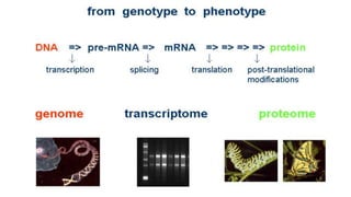 gene expression traditional methods | PPTX