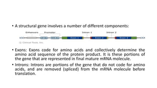 gene expression traditional methods | PPTX