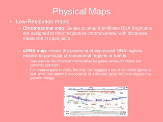 1 gene mapping presintaion | PPT