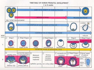 1general aspects of human prenatal development.ppt