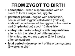 1general aspects of human prenatal development.ppt