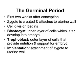 1general aspects of human prenatal development.ppt