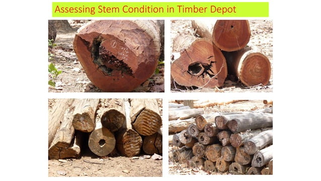 1 General Constitution & Non Forest Land under Forest Conservation Act ...