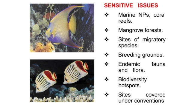 1 General Constitution & Non Forest Land under Forest Conservation Act ...
