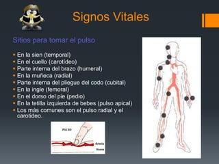 Signos vitales | PPTX