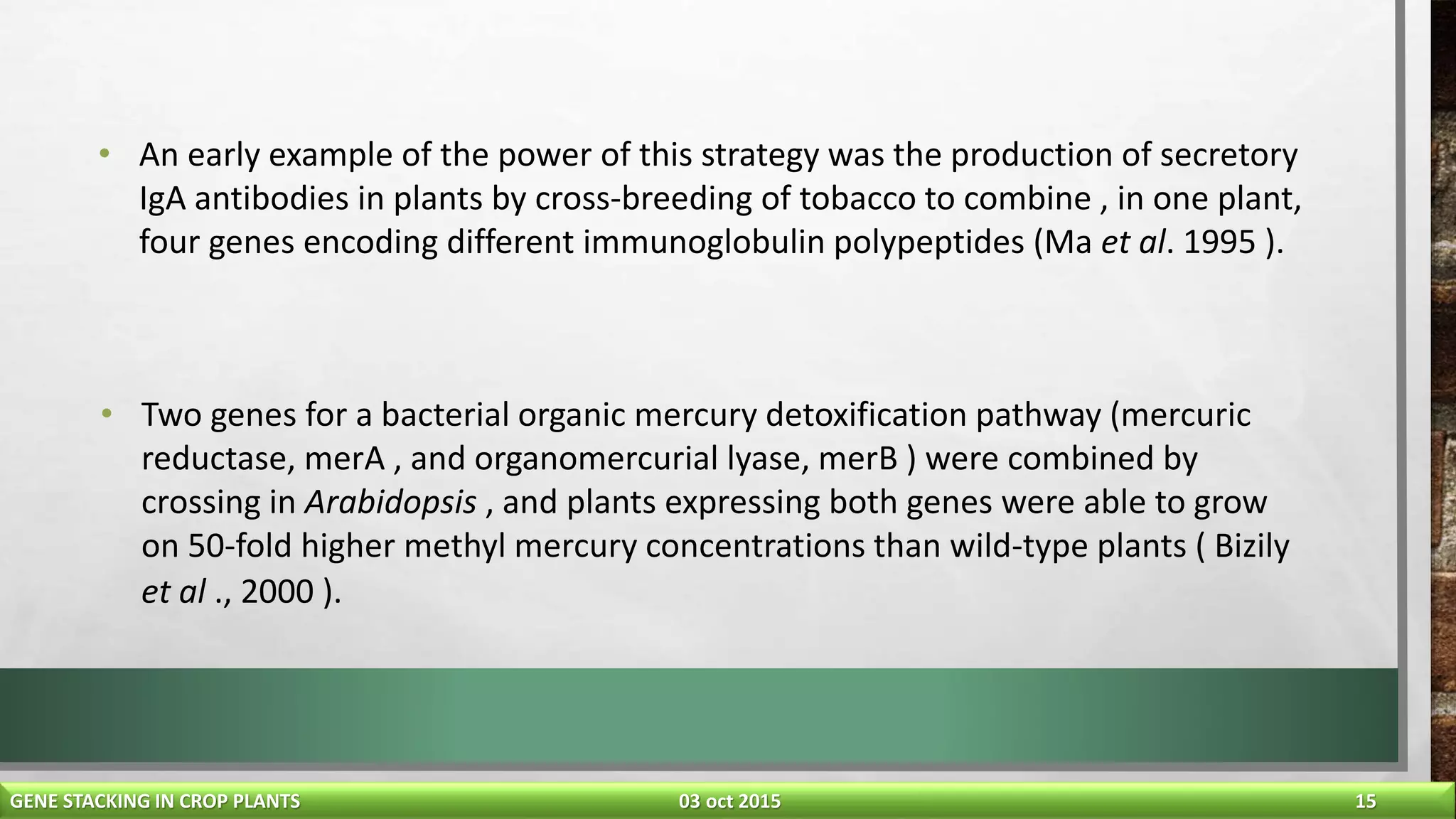 gene stacking in crop plants final | PPTX