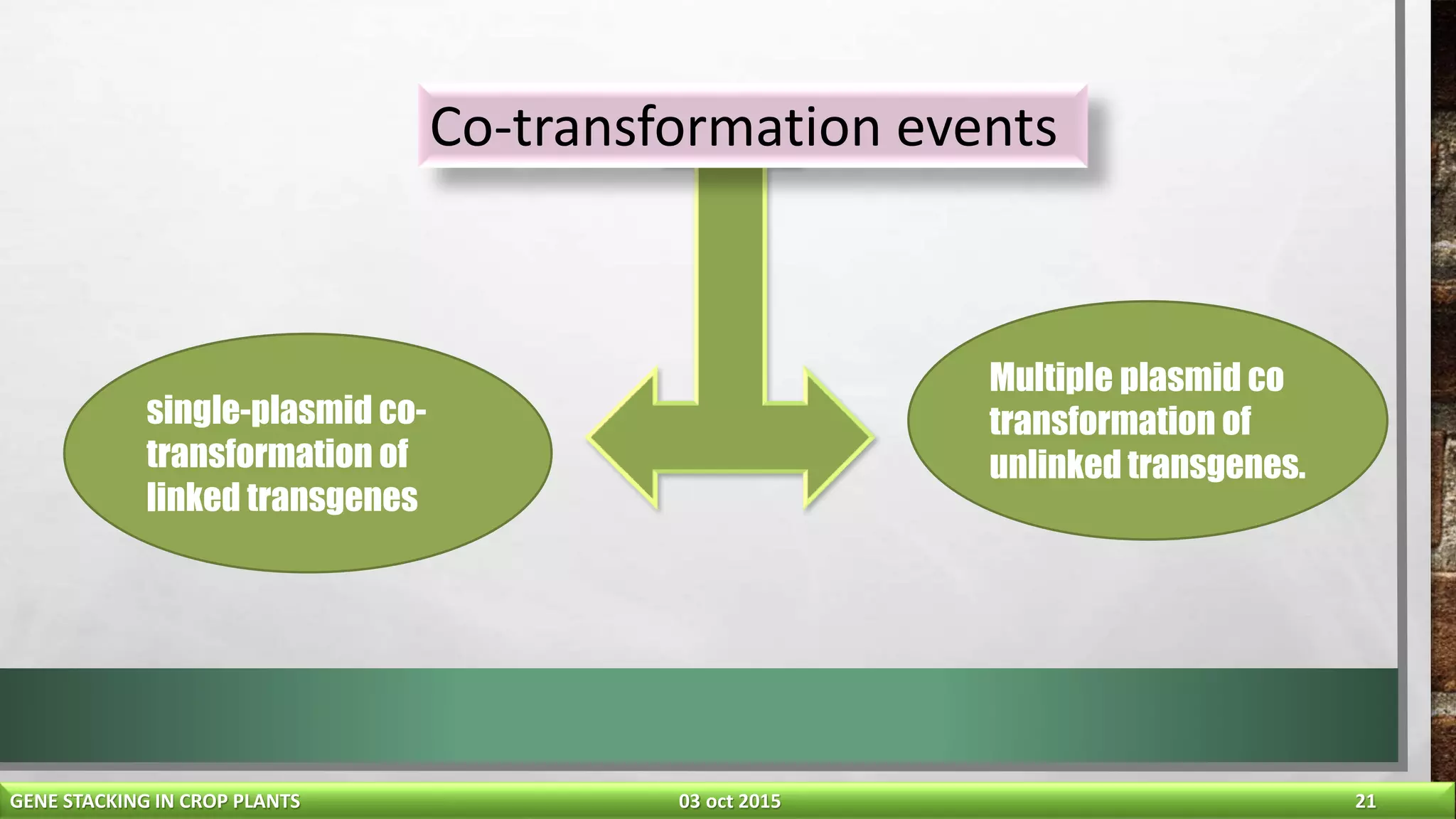 gene stacking in crop plants final | PPTX