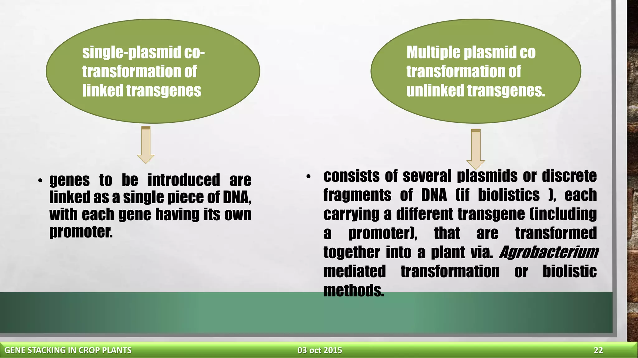 gene stacking in crop plants final | PPTX