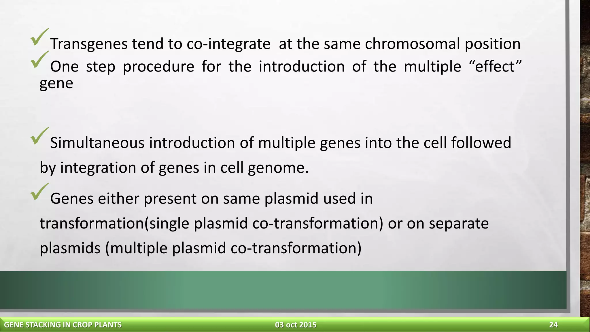 gene stacking in crop plants final | PPTX