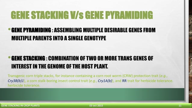 gene stacking in crop plants final | PPTX | Gardening | Home & Garden