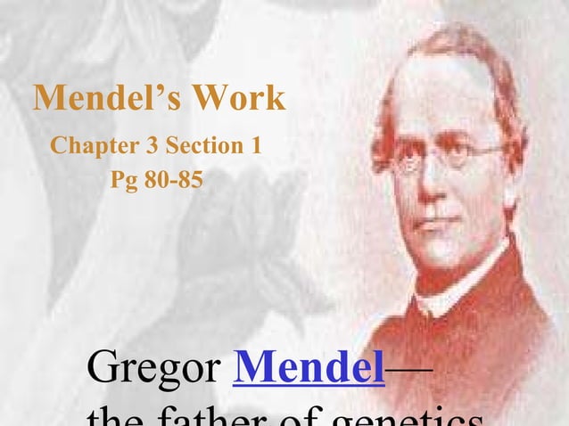 Probability, Mendel, and Genetics Powerpoint | PPT