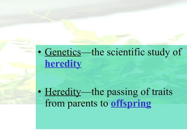 Probability, Mendel, and Genetics Powerpoint | PPT