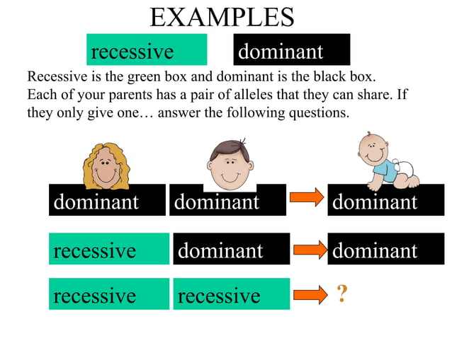Probability, Mendel, and Genetics Powerpoint | PPT