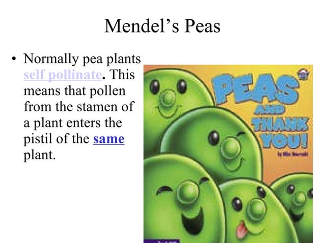 Probability, Mendel, and Genetics Powerpoint | PPT