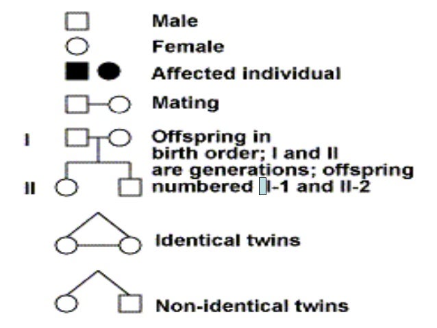 genetics introduction - models of inheritance