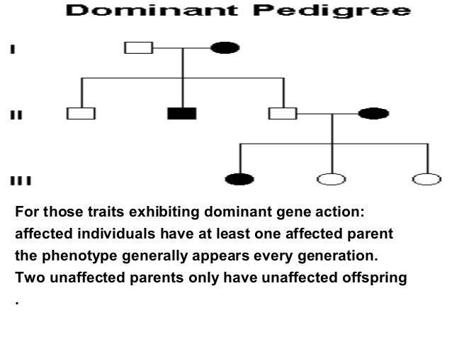 genetics introduction - models of inheritance