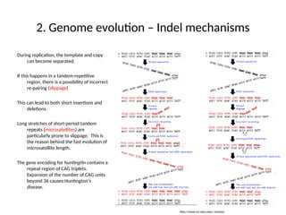 Genome structure and Evolution of BiomolecularPPT | PPT | Genetics ...