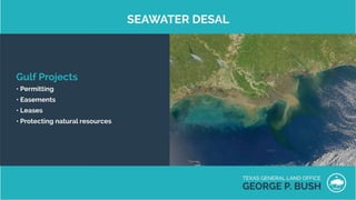 Texas General Land Office, George P. Bush | PPTX