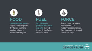 Texas General Land Office, George P. Bush | PPTX