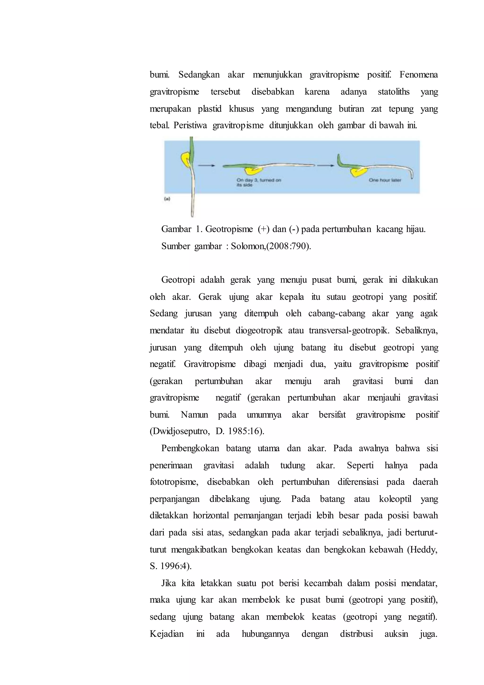 1 gerak pada tumbuhan | DOCX
