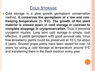 in vitrogermplasm conservation | PPTX