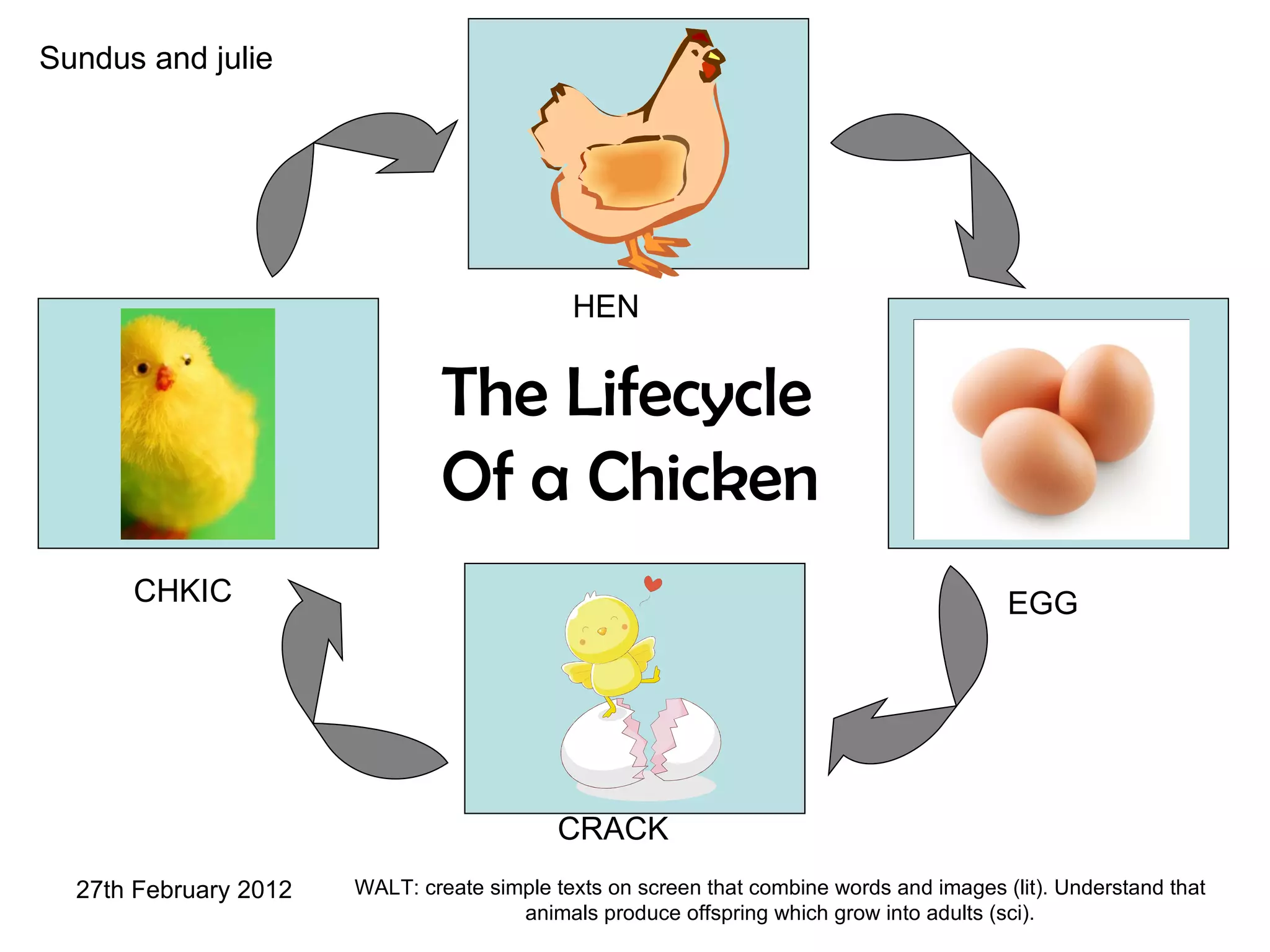 The Lifecycle of a Chicken by 1G | PPT
