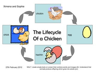 The Lifecycle of a Chicken by 1G | PPT