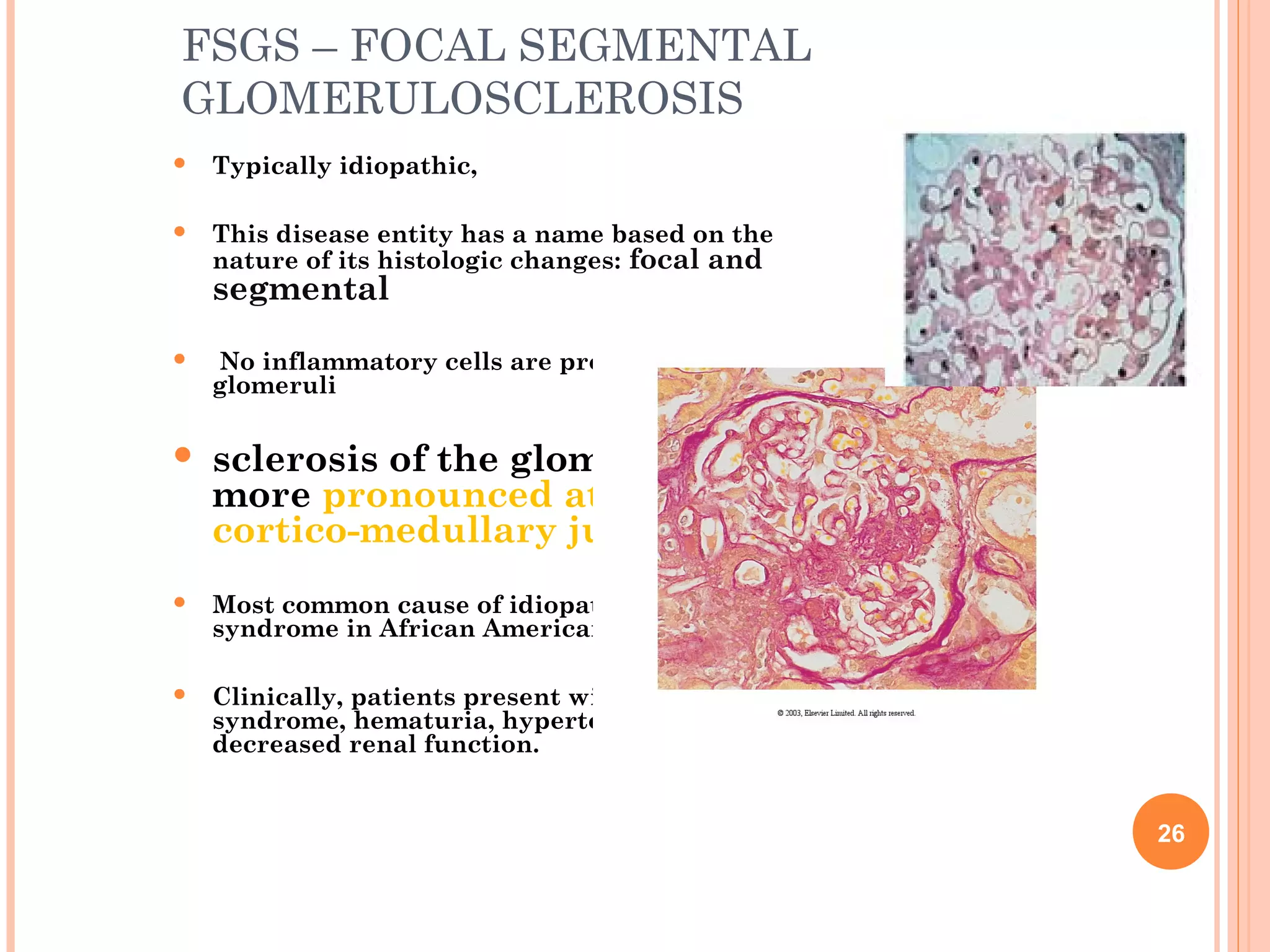 1 glomerular disease & anatomy pysiology of kideny | PPT