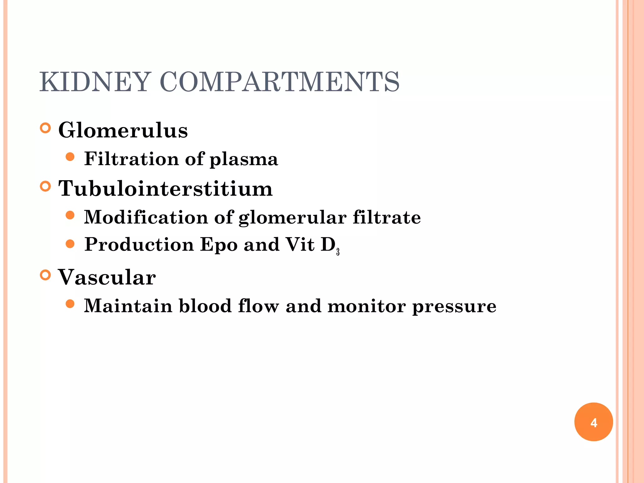 1 glomerular disease & anatomy pysiology of kideny | PPT