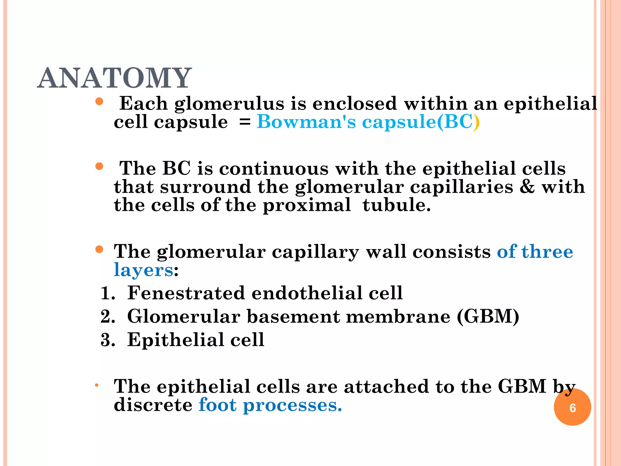 1 glomerular disease & anatomy pysiology of kideny | PPT