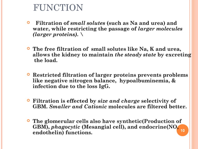 1 glomerular disease & anatomy pysiology of kideny | PPT