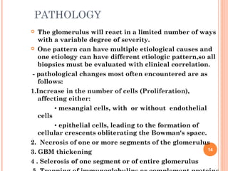 1 glomerular disease & anatomy pysiology of kideny | PPT