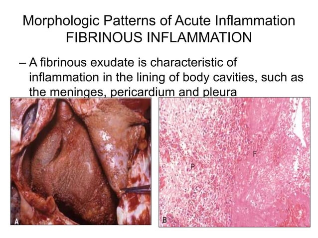 1) GP- PRACTICAL.pptx