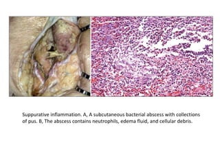 1) GP- PRACTICAL.pptx
