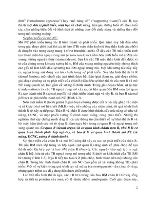 Giai phau hoc mo nha chu | PDF