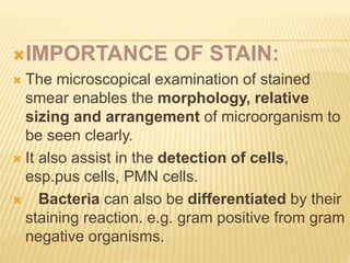 Gram stain | PPT