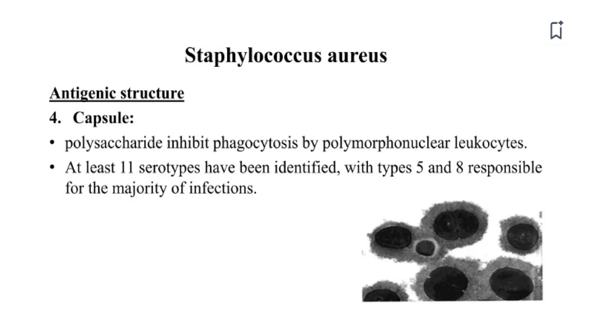 DPT - Microbiology II (Gram +ve cocci) - Genus Staphylococcus | PPTX